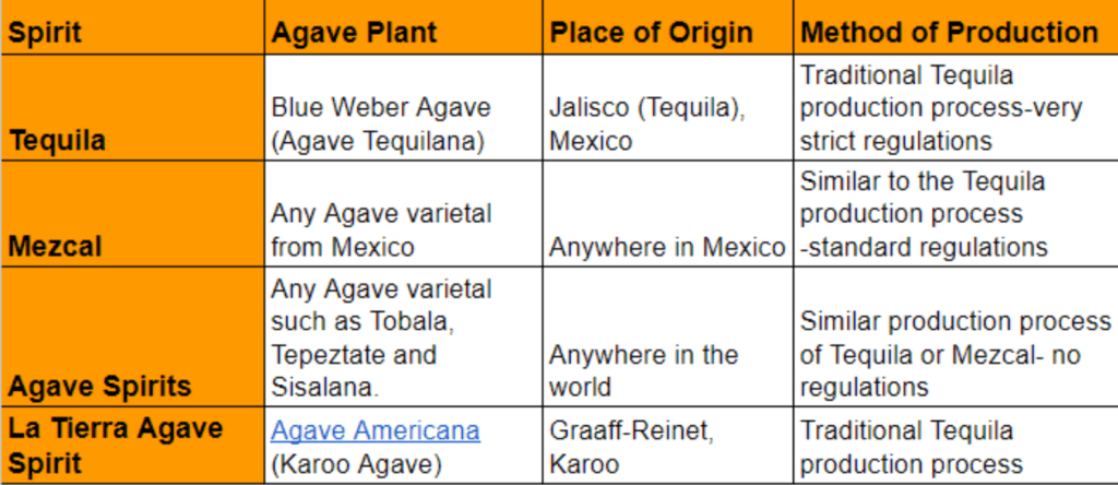 Tequila production process vs Agave spirits: Essential Insights - La ...