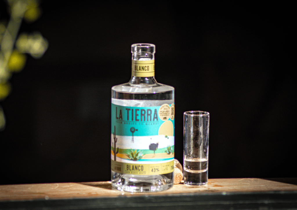 Tequila production process vs Agave spirits: Essential Insights - La ...
