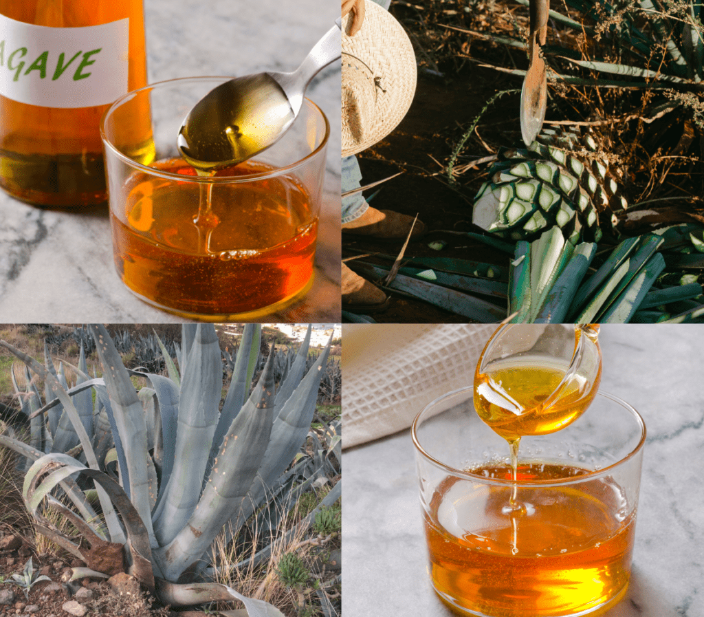 Agave nectar: The heavenly syrup of the gods - La Tierra Agave