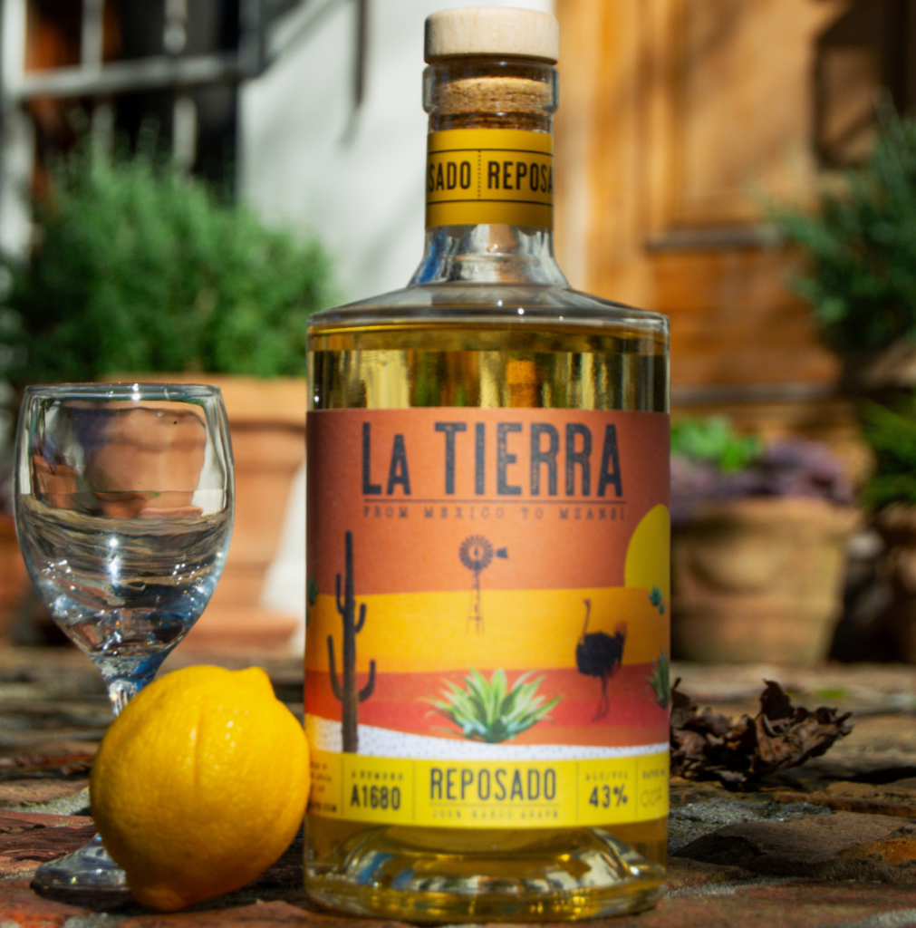 Tequila production process vs Agave spirits: Essential Insights - La ...