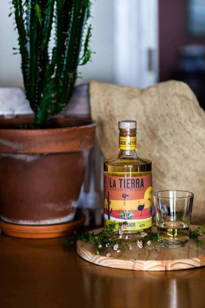 8 extraordinary Agave names to remember! - La Tierra Agave
